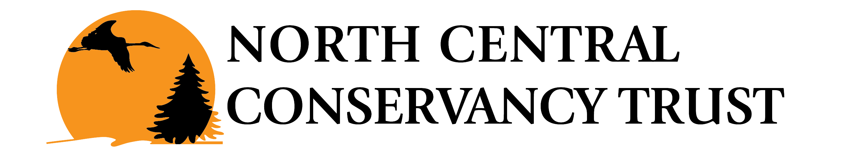 Schmeeckle Reserve Pankowski Amphitheater | NORTH CENTRAL CONSERVANCY TRUST